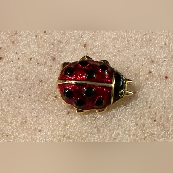 Jewelry | Charming Red And Gold Ladybug Brooch | Poshmark